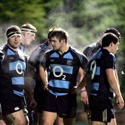 Irish Rugby | Shannon Announce New Signings