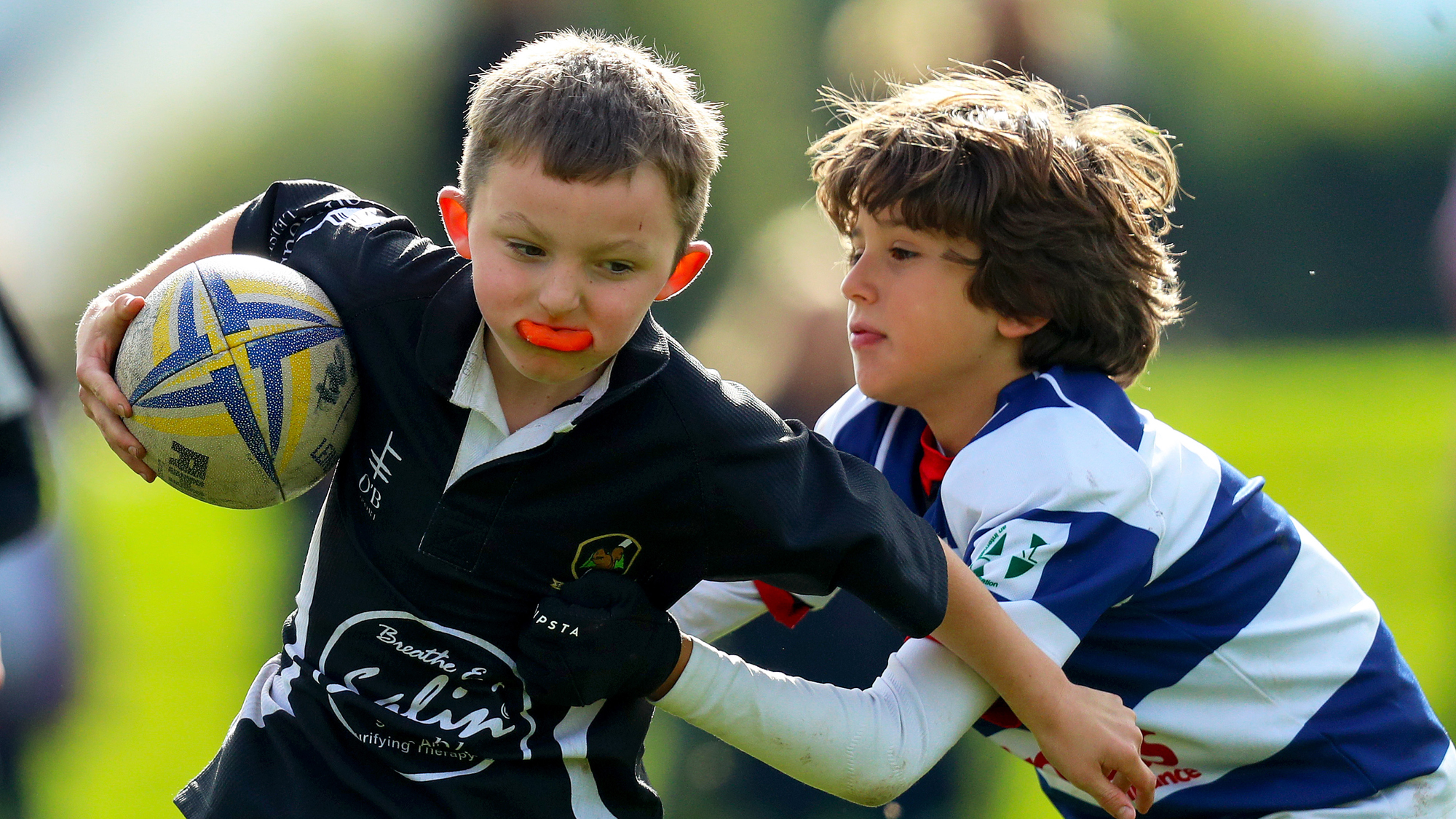 Irish Rugby | Coaching Courses