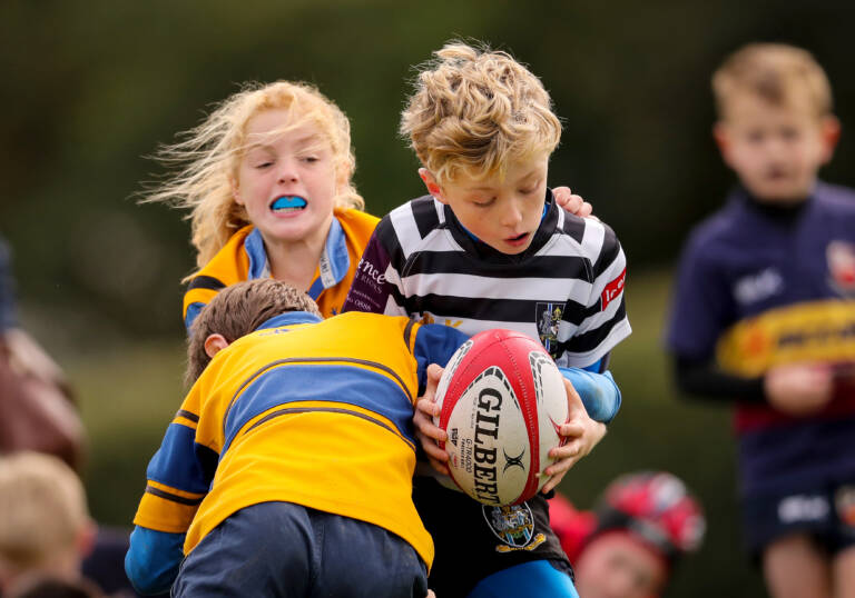 Irish Rugby | Refereeing
