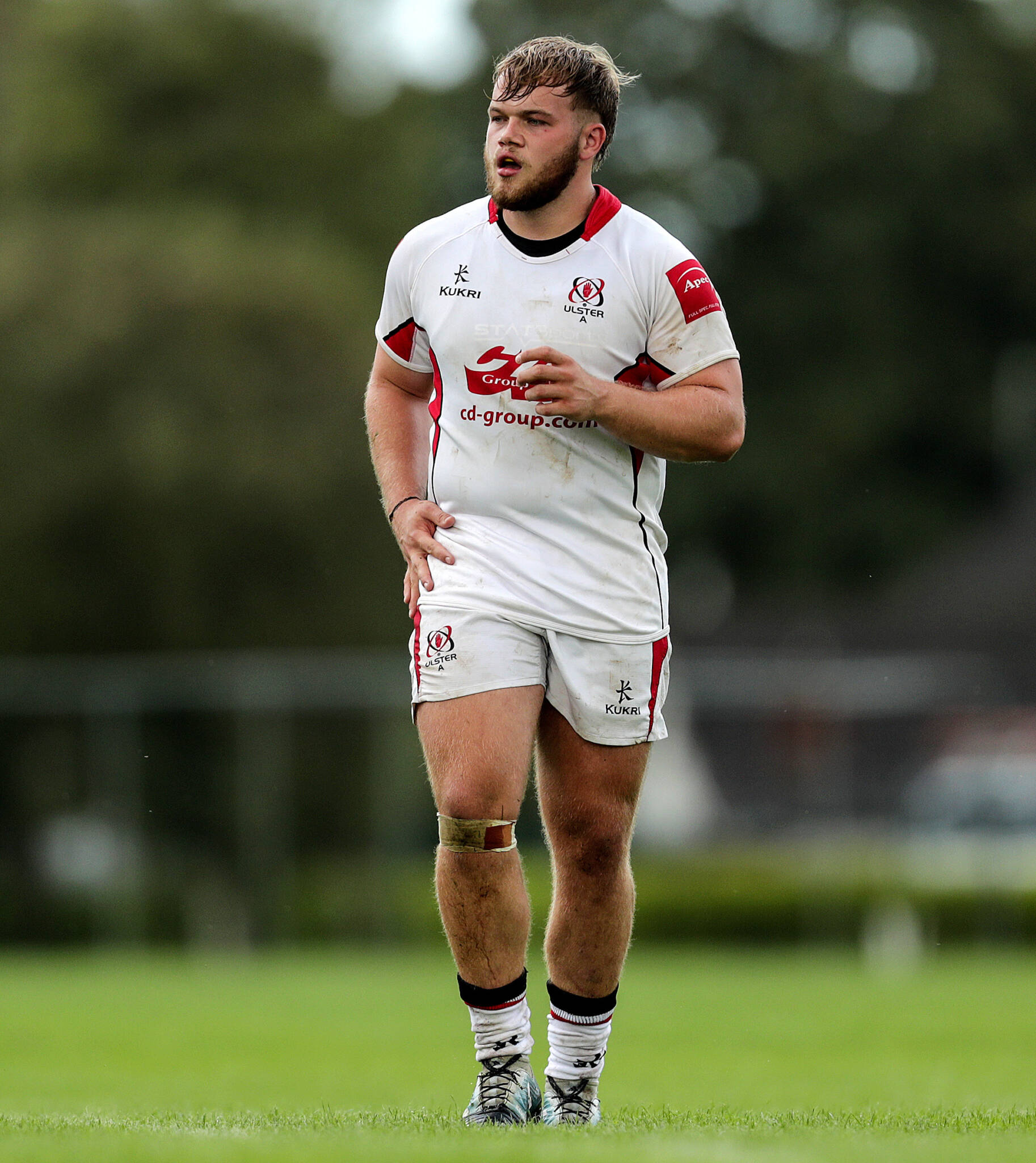 Irish Rugby | Munster Announce Loan Signing Of Ulster Youngster Reid