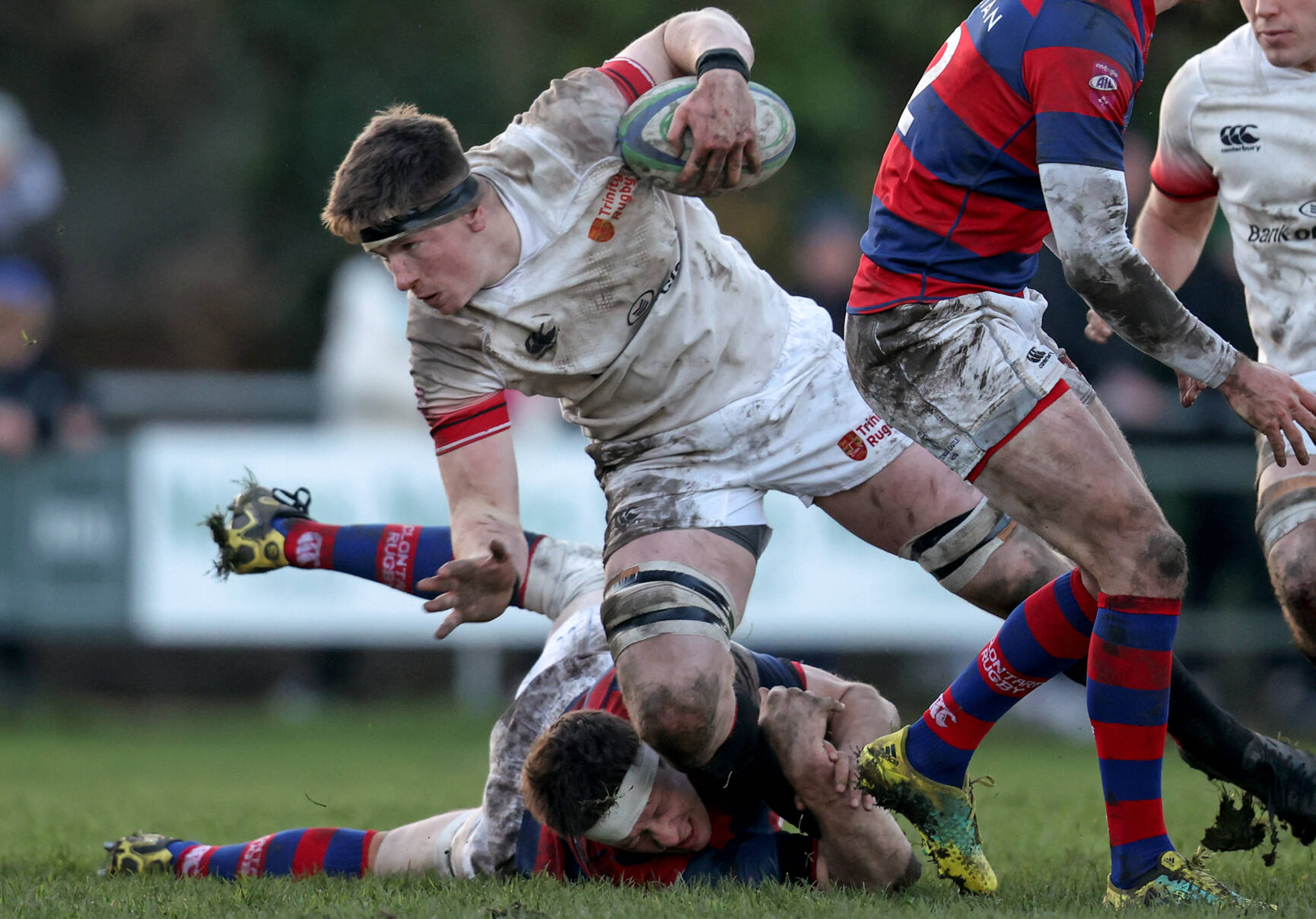 Irish Rugby | Energia AIL: Match Highlights
