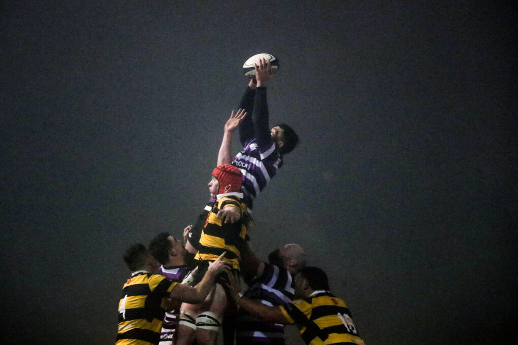 Irish Rugby | Energia AIL