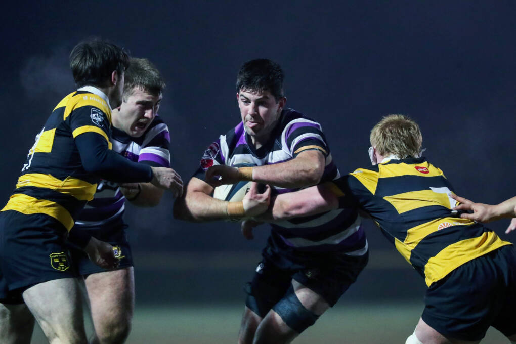 Irish Rugby | Energia AIL