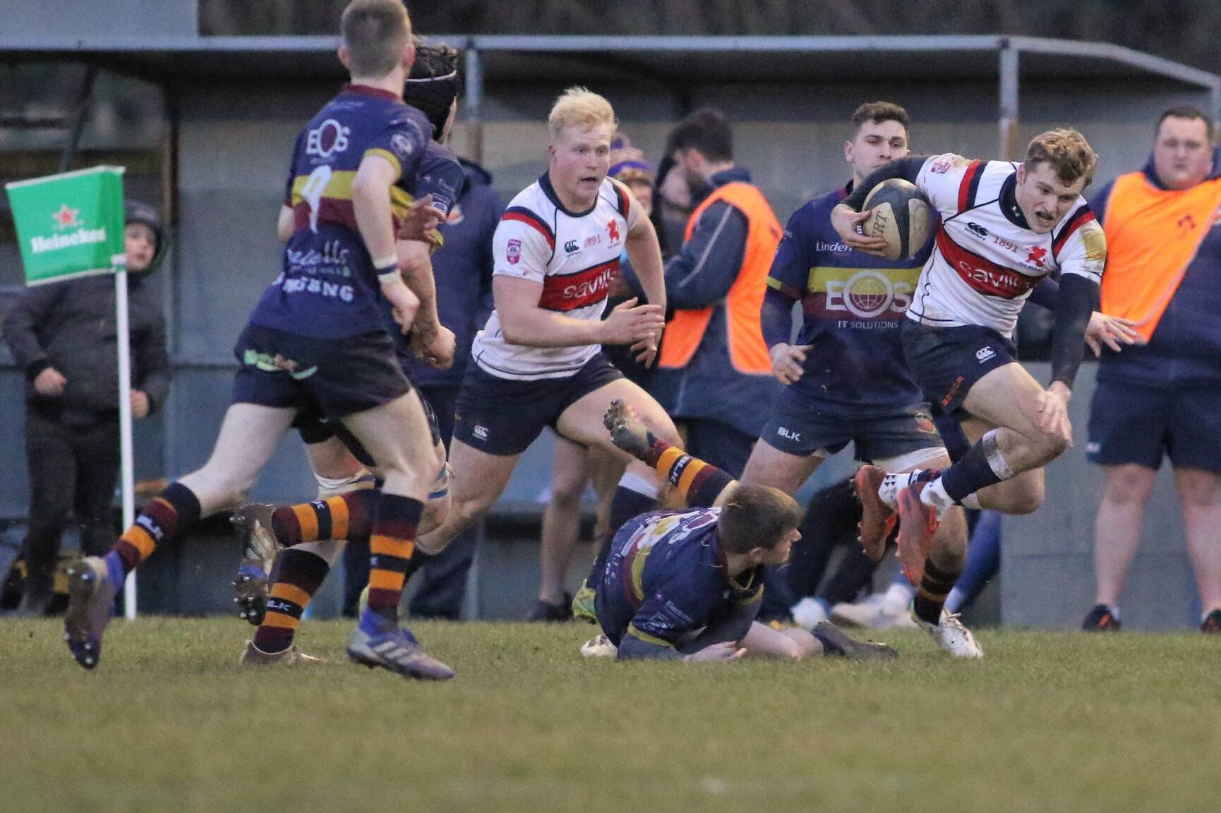 Irish Rugby | Energia AIL