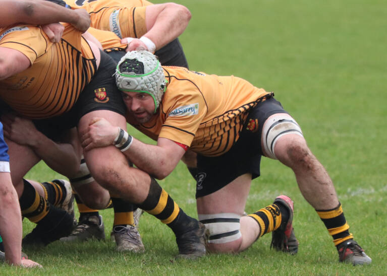 Irish Rugby | Energia AIL