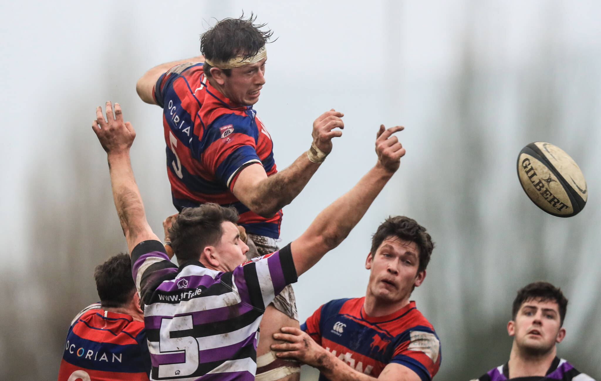 Irish Rugby | Energia AIL Live Streams – Where To Watch