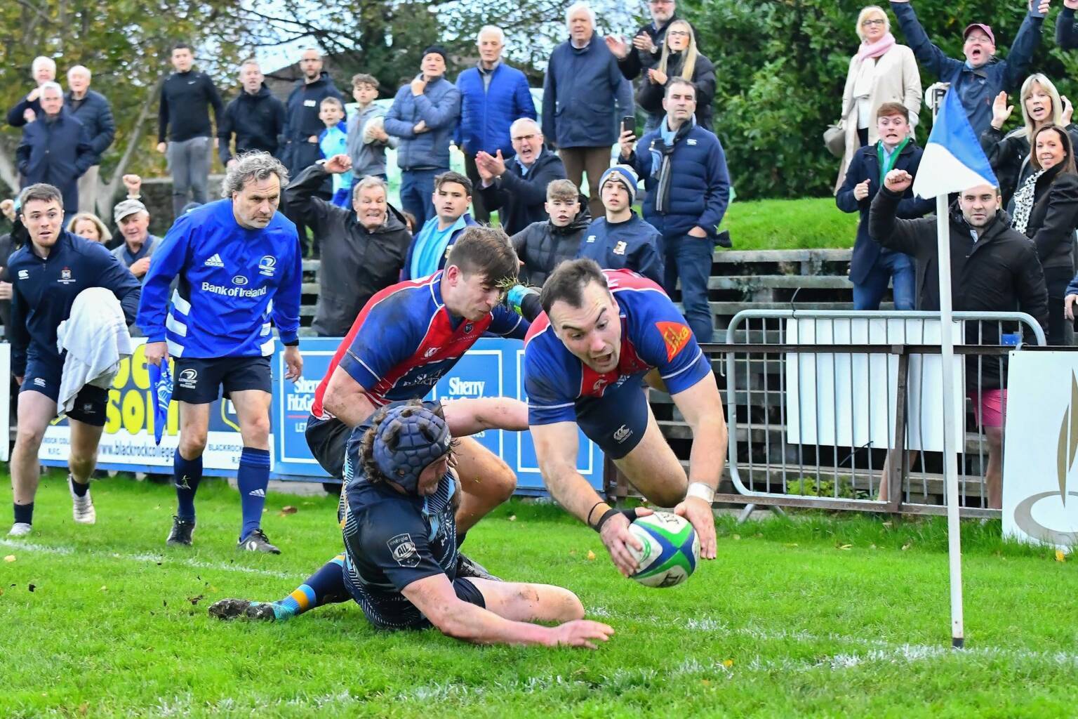 Irish Rugby | Blackrock’s McDowell Eager To Build On Back-To-Back ...