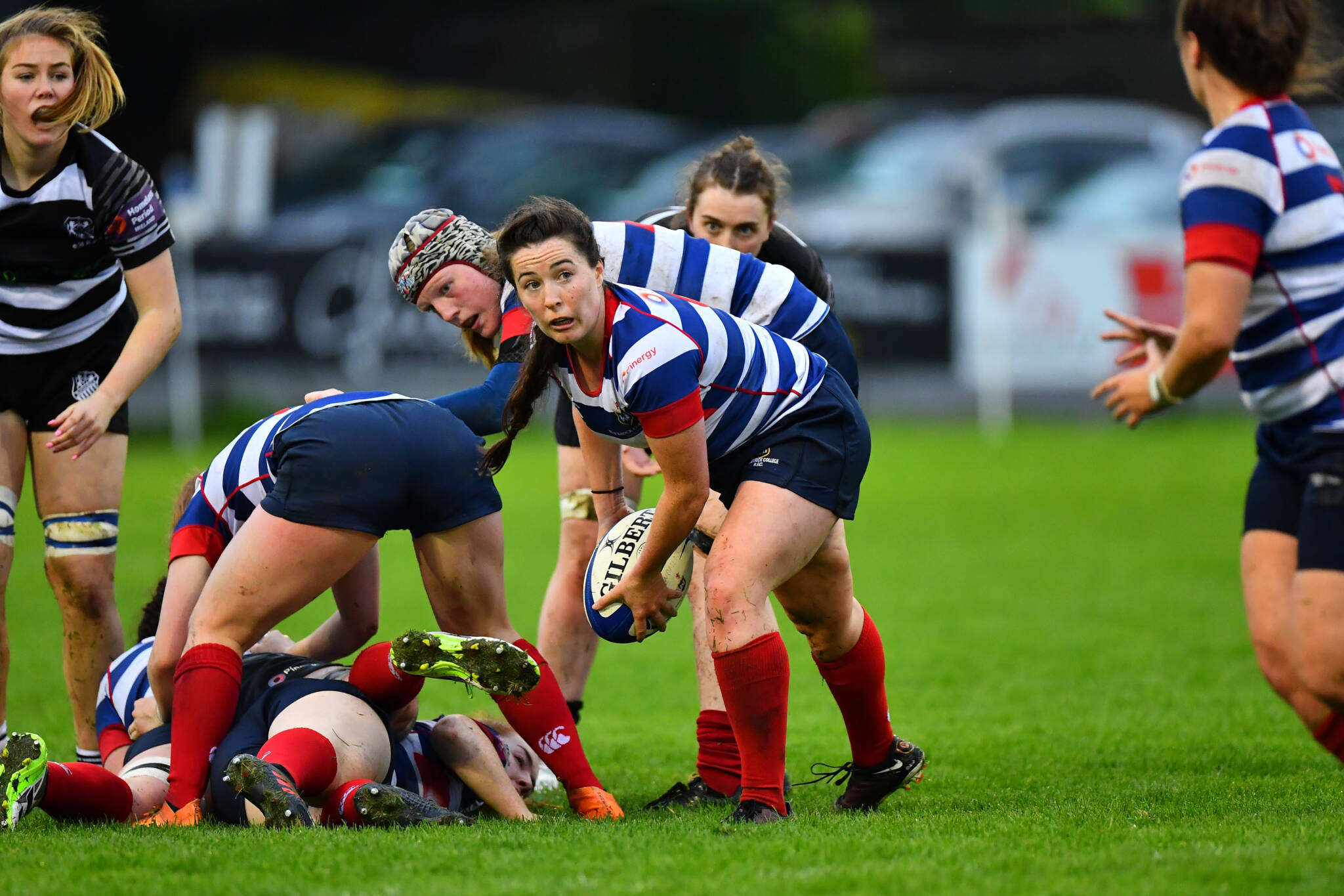Irish Rugby | Old Belvedere Run Champions Blackrock Close In # ...