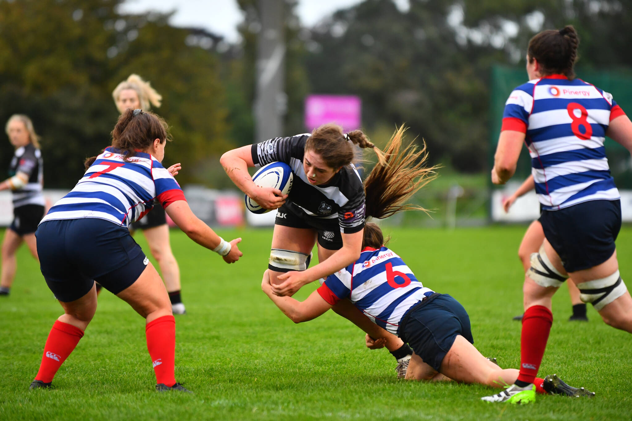 Irish Rugby | Old Belvedere Run Champions Blackrock Close In # ...