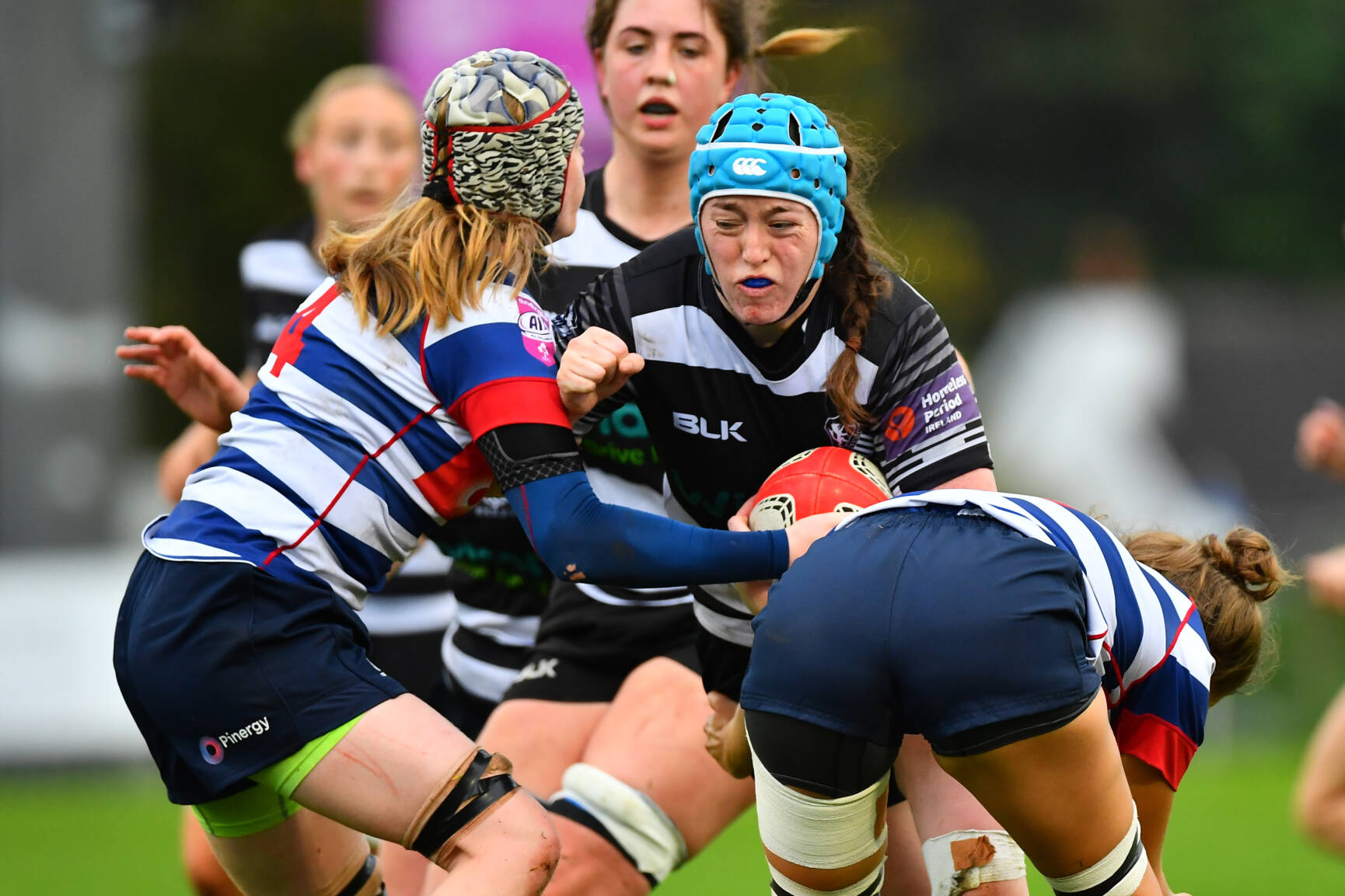 Irish Rugby | Old Belvedere Run Champions Blackrock Close In # ...