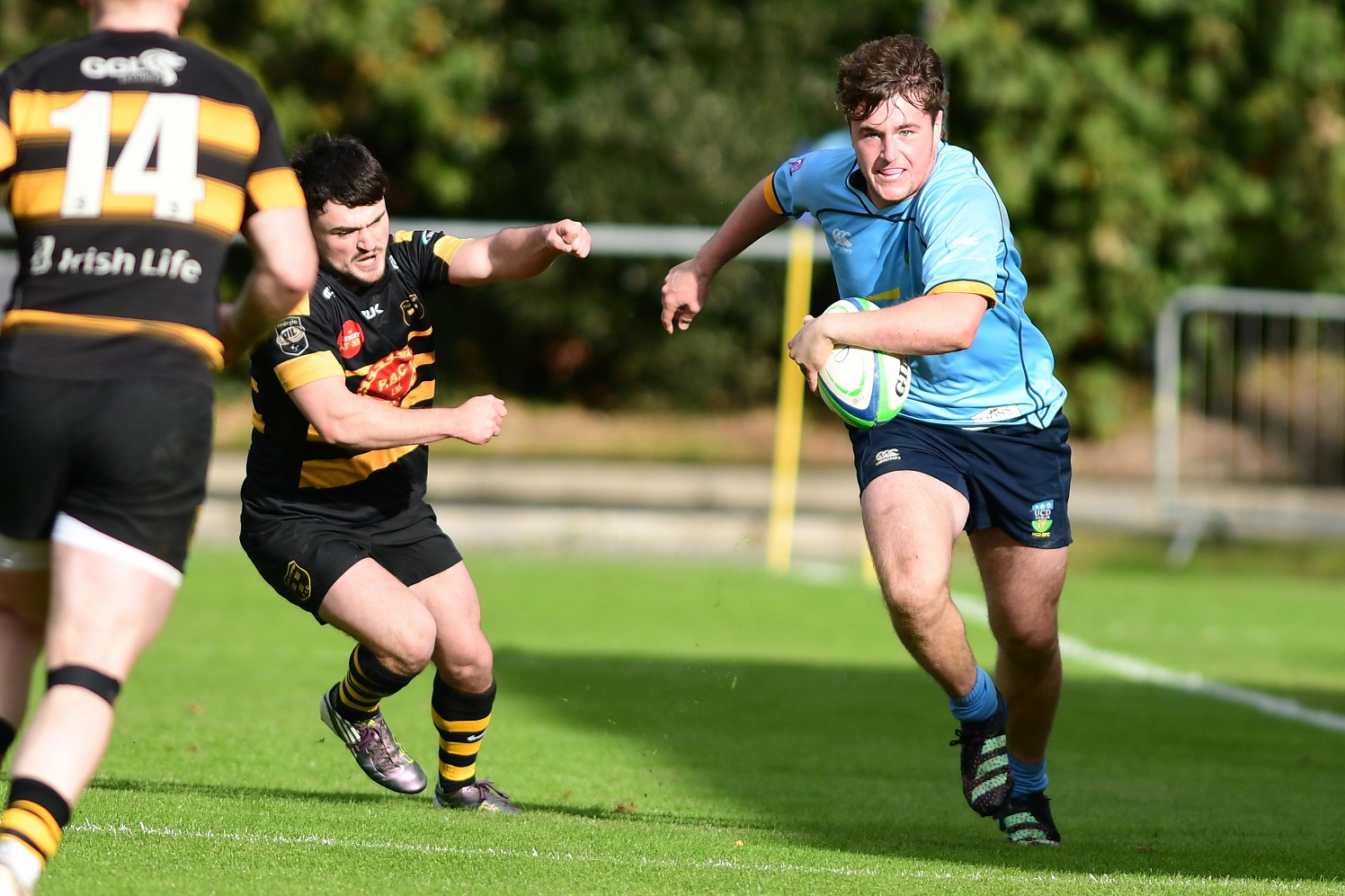 Irish Rugby | UCD Hold Off Young Munster To Return To Winning Ways