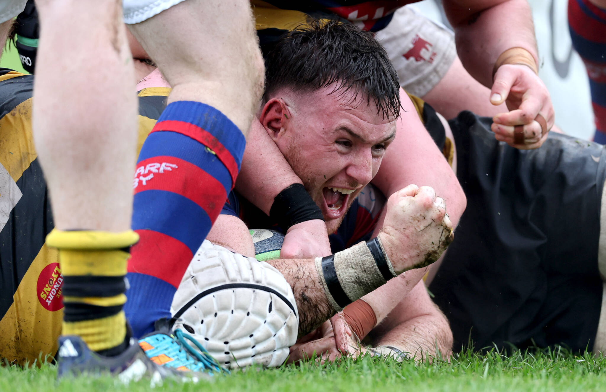 Irish Rugby | Hookers Donnellan And Milligan Out In Front As Division ...