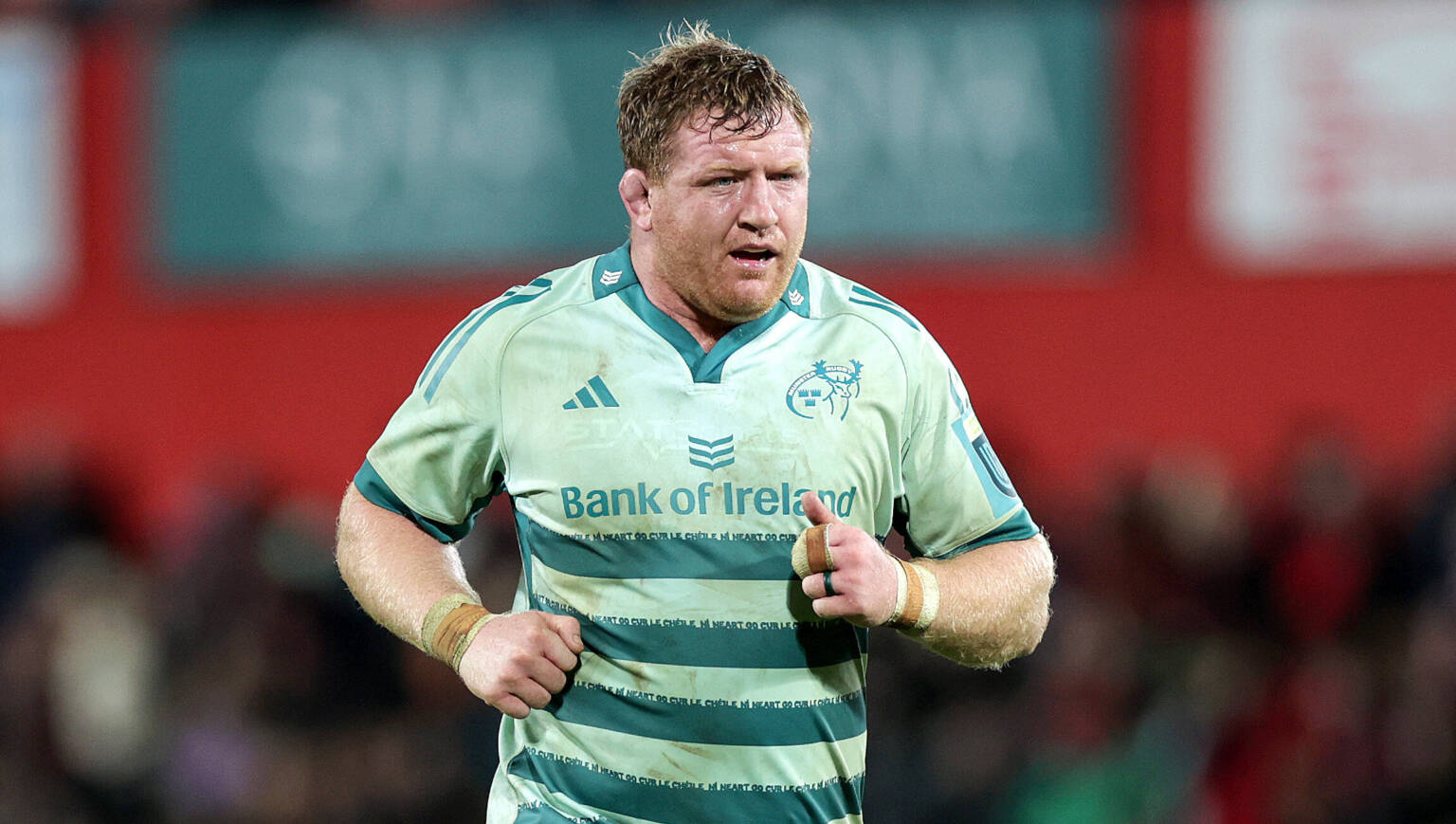 Irish Rugby | Contact Us