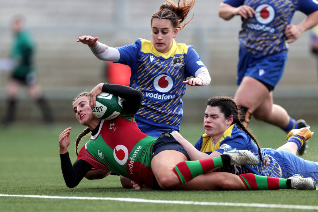 Irish Rugby | IRFU Concussion Protocols