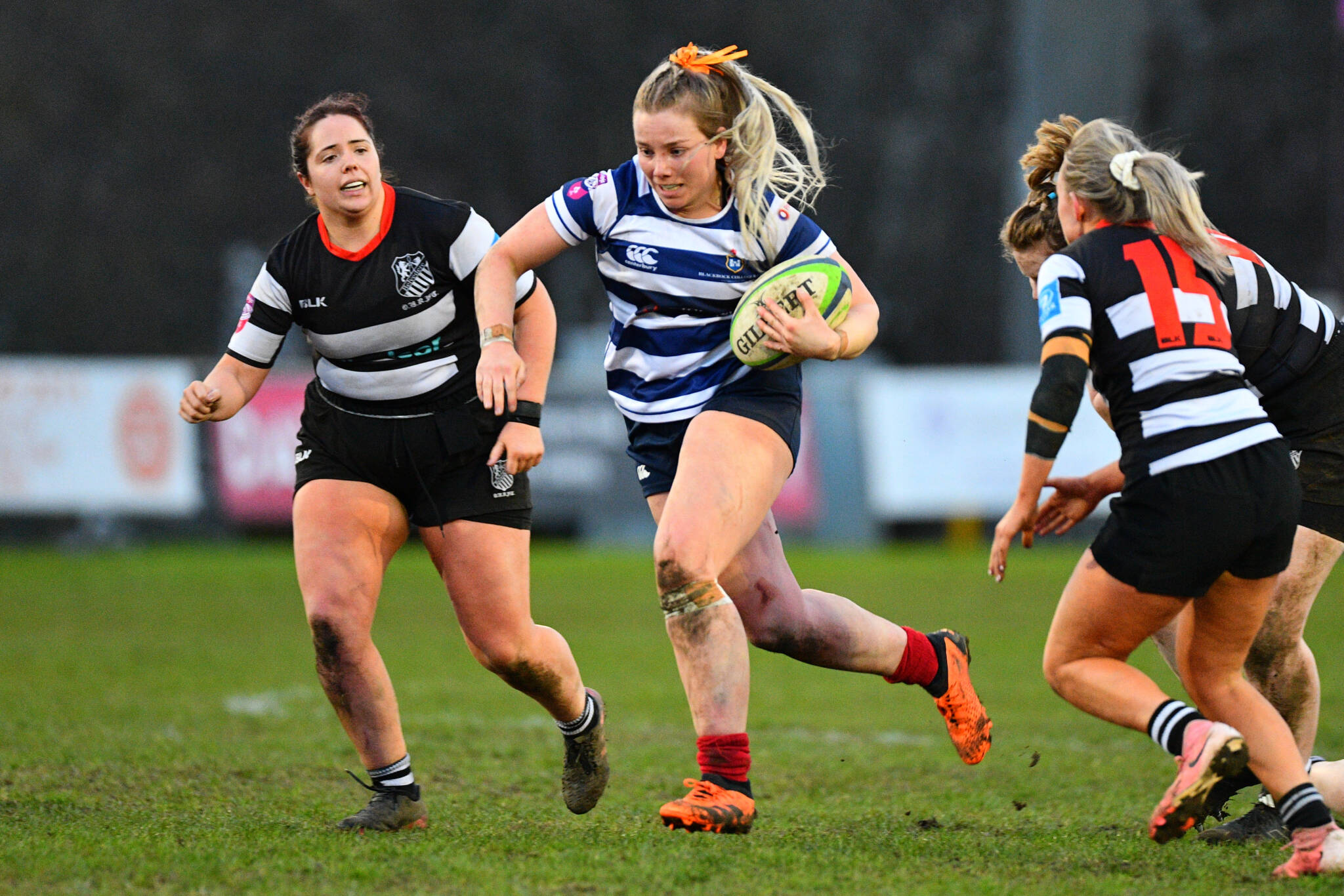 Irish Rugby | IRFU Committee