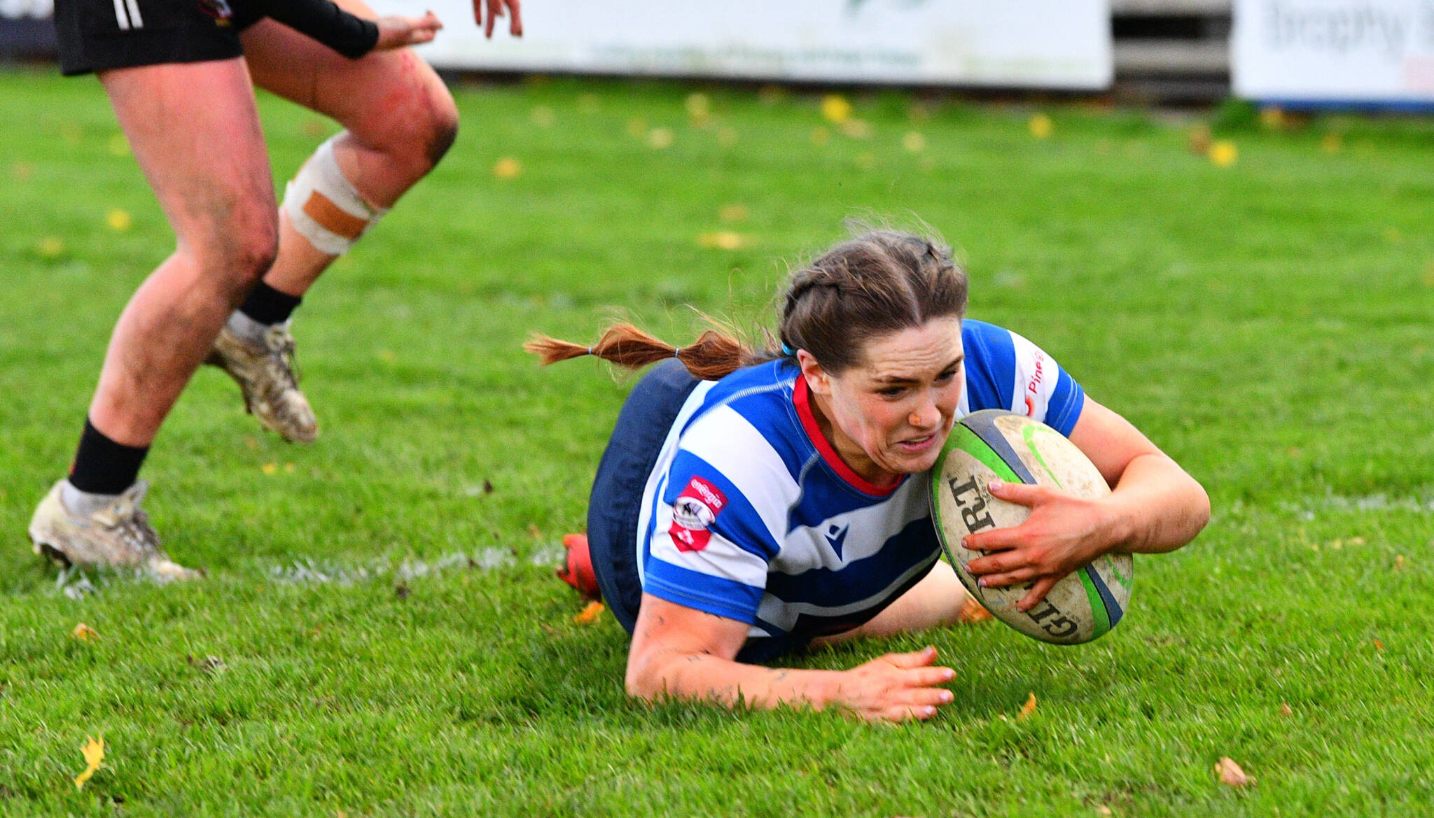 Irish Rugby | Aviva Stadium Map