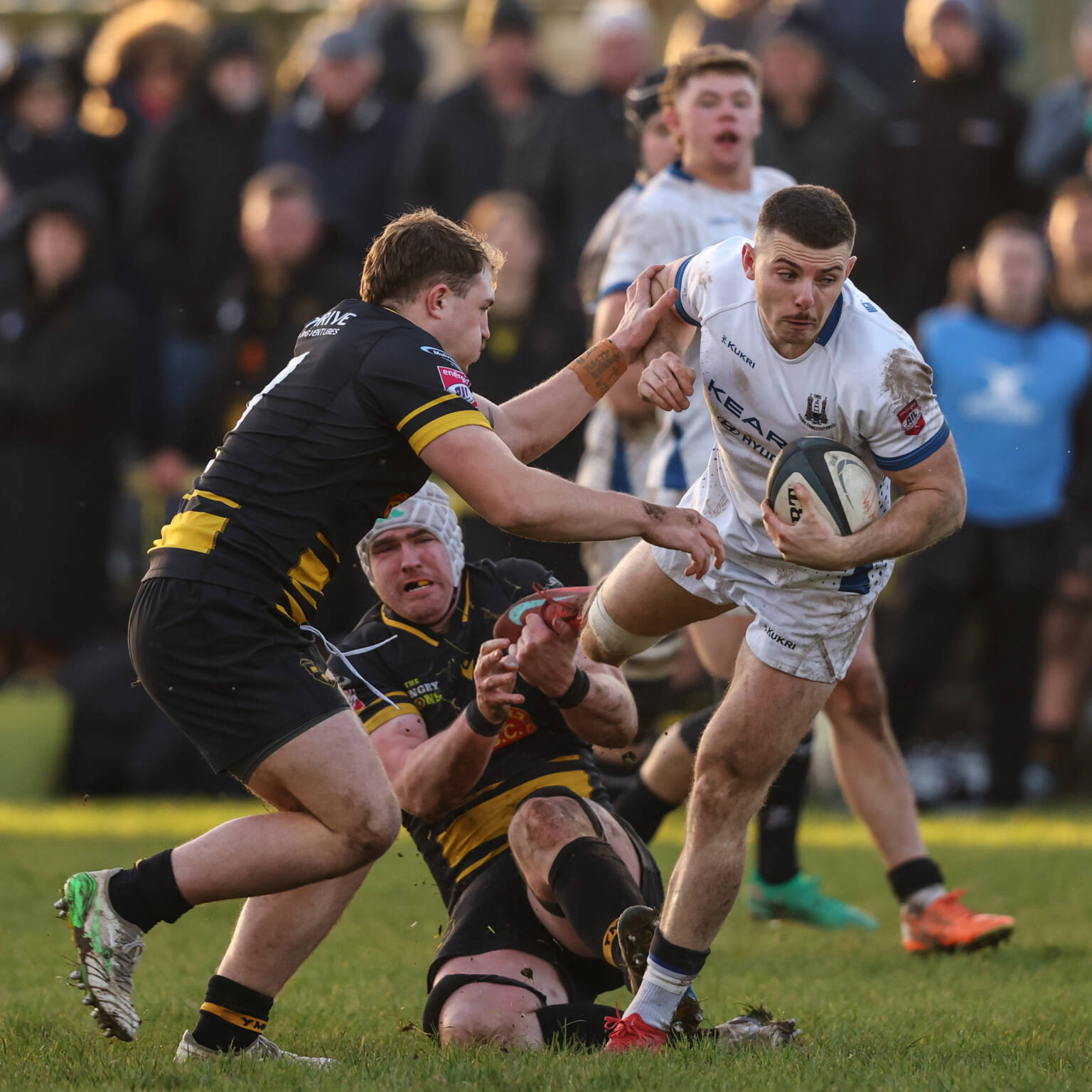 Irish Rugby | #EnergiaAIL Men’s Divisions: Round 7 Results Round-Up