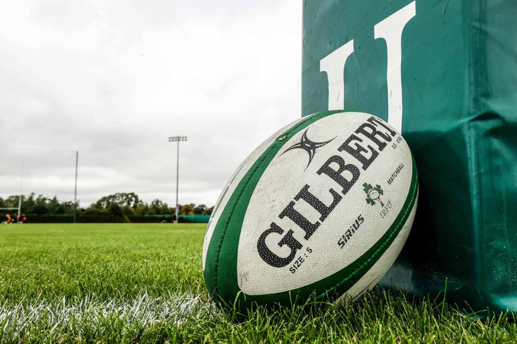Irish Rugby | IRFU Staff